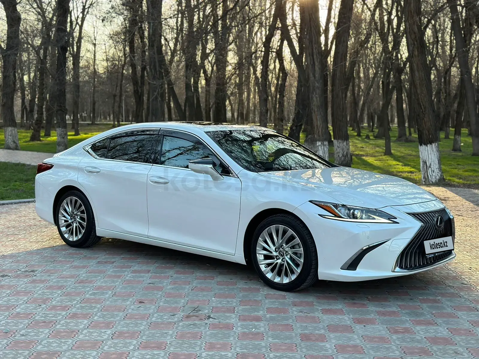 Продажа Lexus ES 250 2019 года в Шымкенте - №181371172: цена 22000000₸. Купить Lexus ES 250 — Колёса
