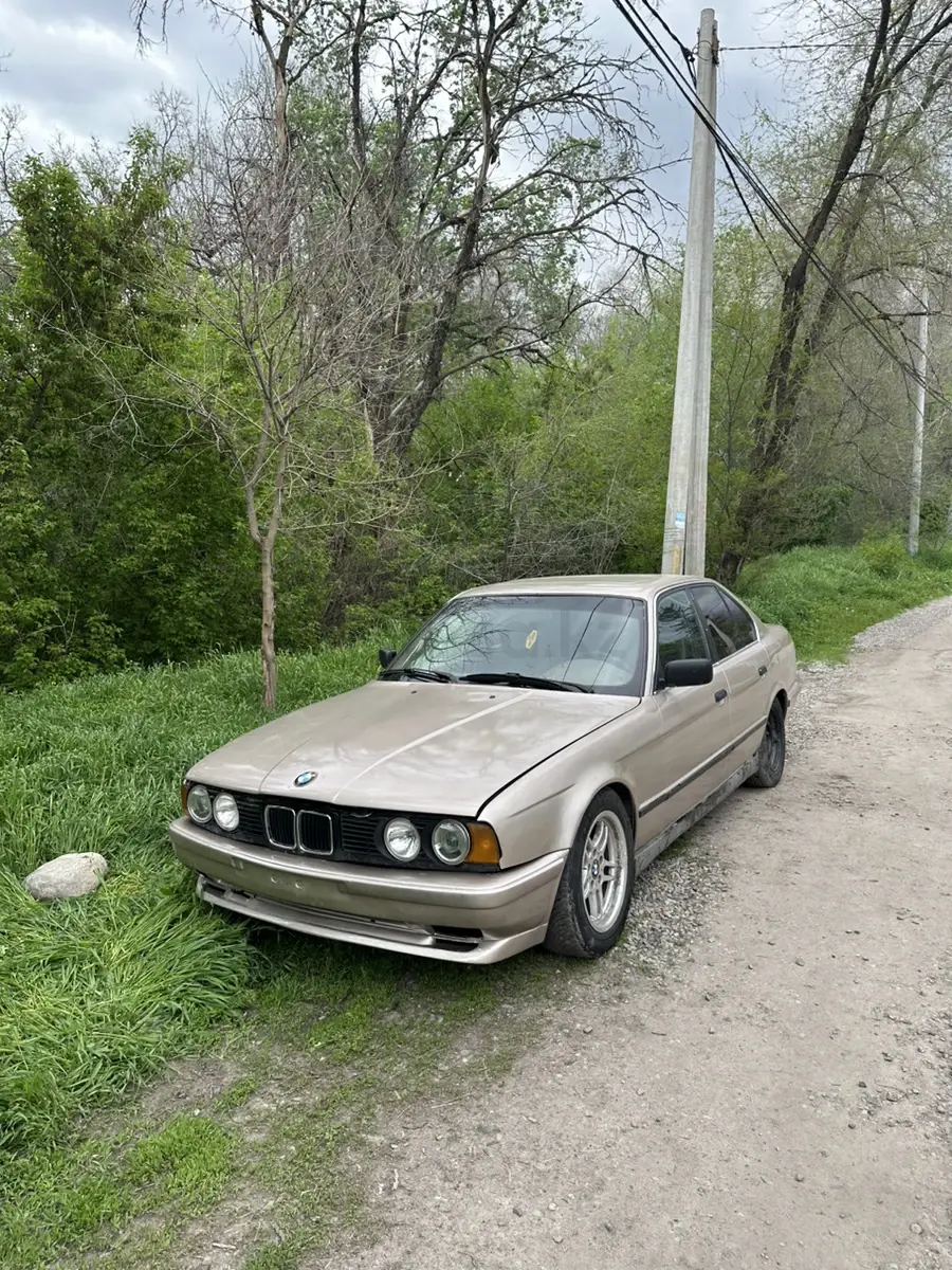 Продажа BMW 525 1990 года в Алматы - №170823833: цена 750000₸. Купить ...