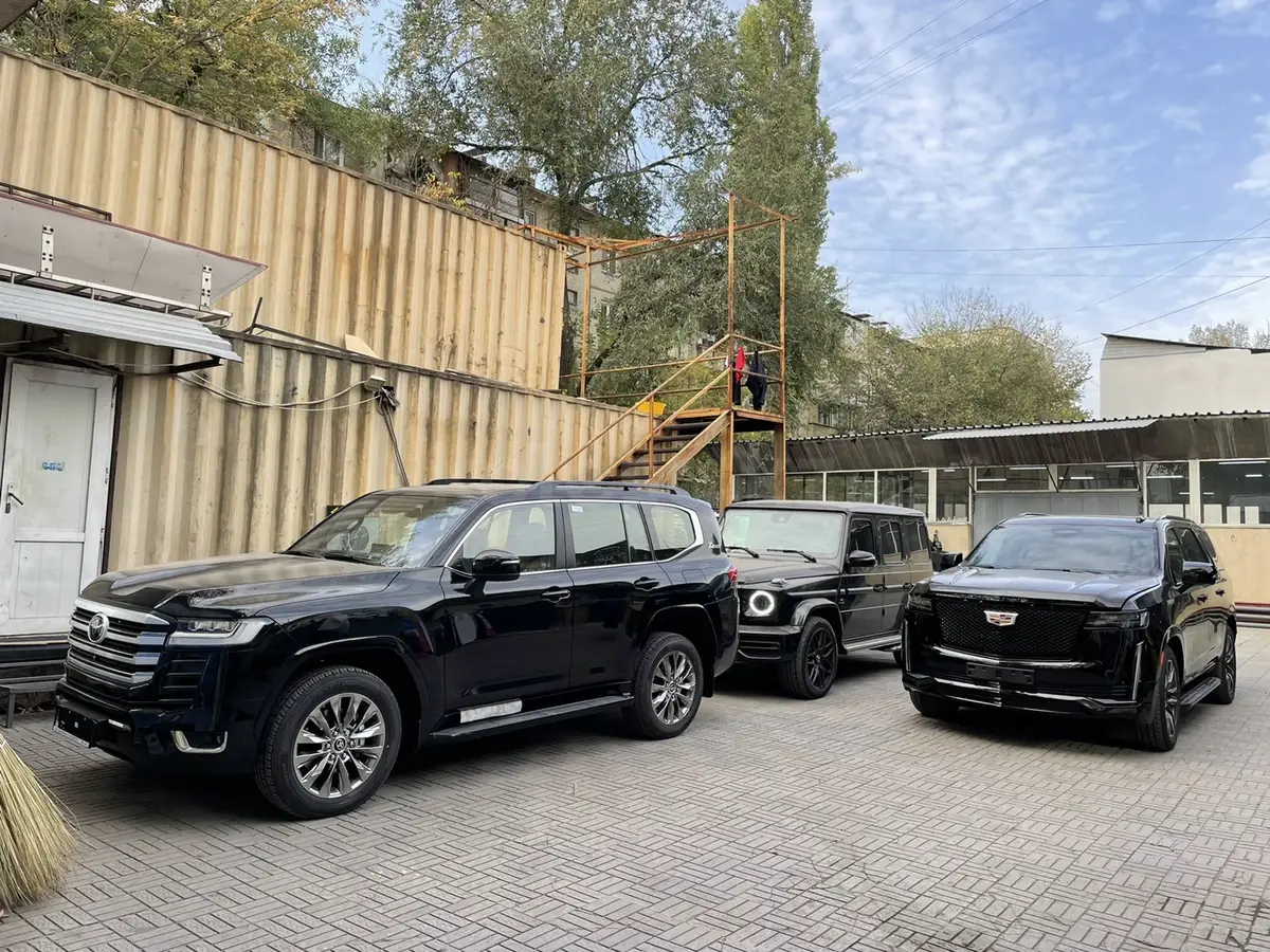 Установочный центр Старлайн в Алматы — объявление №14454733 ...